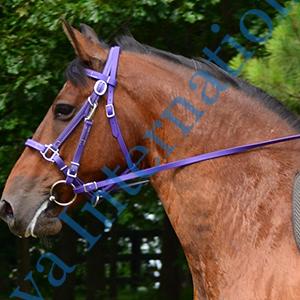 HALTER BRIDLE & REINS with Bit Hangers - Joya International